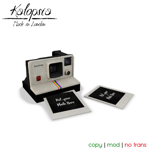 Second Life Marketplace - Kalopsia - Hilly's Polaroid Camera