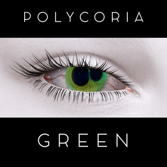Second Life Marketplace - ANATOMY - Polycoria FATPACK - OMEGA Appliers