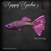 Second Life Marketplace - *HEXtraordinary* Guppy - Elusive Pink Seed of ...