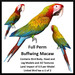 Second Life Marketplace - Full Perm Buffwing Macaw
