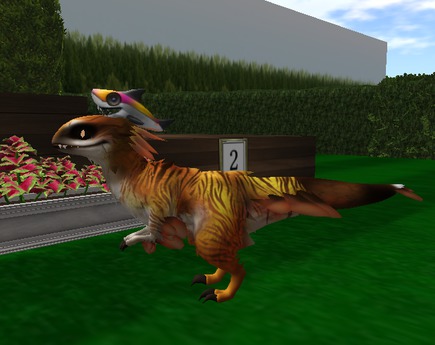 Second Life Marketplace - [Nochi] Tiger Raptor Mod -Boxed-