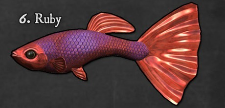 Second Life Marketplace - 6. *HEXtraordinary* Guppy - Ruby