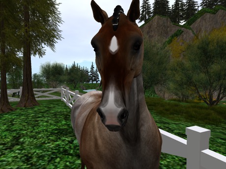 Second Life Marketplace - NHC~* Rustic roan applier (boxed)