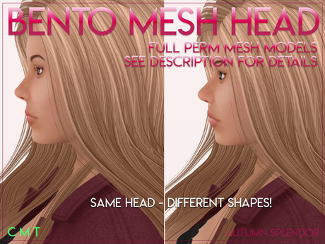 Second Life Marketplace - ::AS:: FULL PERM Bento Mesh Head