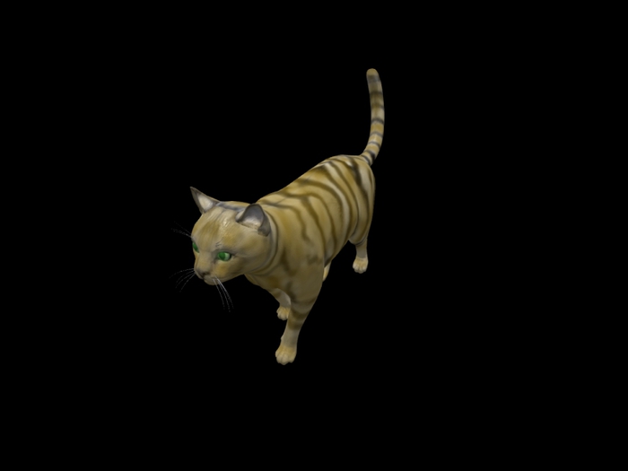 Second Life Marketplace - Animated Mesh Tiger Cat Pack 50% christmas ...