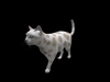 Second Life Marketplace - Animated Mesh White&Brownpaw Cat Pack 50% ...