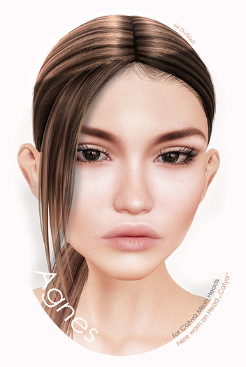 Second Life Marketplace - DeeTaleZ DEMO *Appliers* CATWA Head "Agnes"