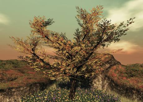 Second Life Marketplace - Aphrodite Couple animated Fall trees - PG ...