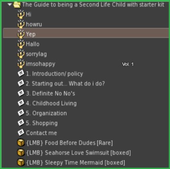 Second Life Marketplace - The Guide to being a Second Life Child with ...