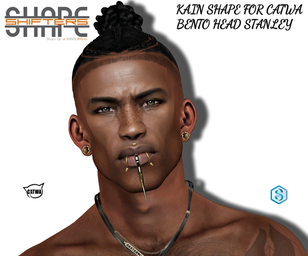 Second Life Marketplace - [SHAPEshifters] KAIN SHAPE FOR CATWA BENTO ...