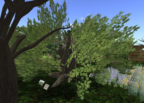 Second Life Marketplace - Box Karukera - August Tree
