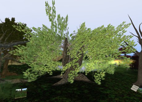 Second Life Marketplace - Box Karukera - August Tree