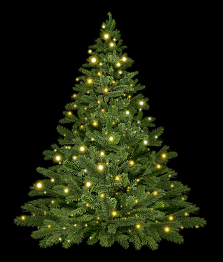 Second Life Marketplace - Sanna Christmas Tree Lit With Large Fairy ...