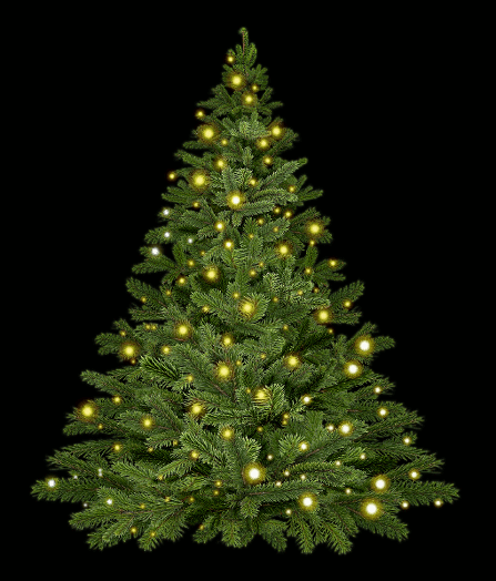 Second Life Marketplace - Sanna 3D Christmas Tree Lit With Large Fairy ...