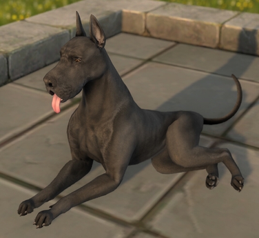 Second Life Marketplace - The Greatest Dane