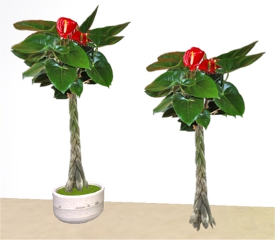 Second Life Marketplace - Animated Braid Plant / Planta Trenza Animada