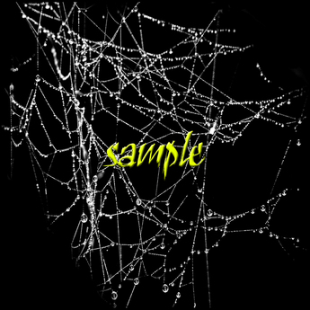 Second Life Marketplace - #40 ALPHA SPIDER WEB TEXTURES + 4 SPIDER ...