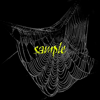 Second Life Marketplace - #40 ALPHA SPIDER WEB TEXTURES + 4 SPIDER ...