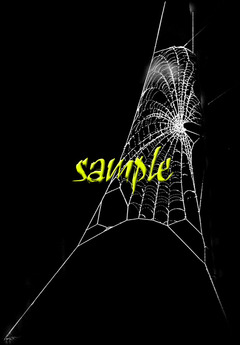 Second Life Marketplace - #40 ALPHA SPIDER WEB TEXTURES + 4 SPIDER ...