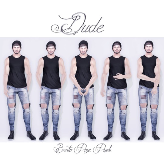 Second Life Marketplace - Go&See * Dude * Bento Pose Pack - Catwa (AO)