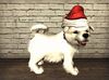 Second Life Marketplace - JIAN Santa's Samoyeds 14. Santa Wanderer BOX