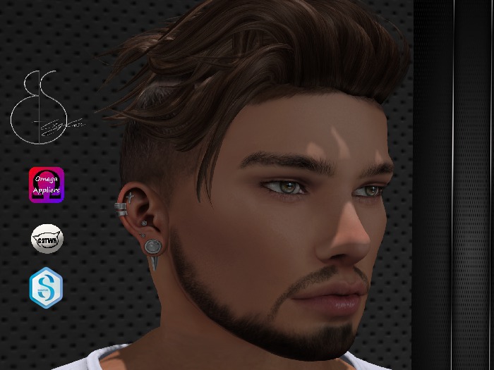 Second Life Marketplace - **BS** Beard XI Catwa /Omega /Sig