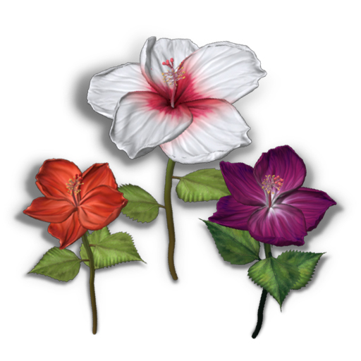 Second Life Marketplace - [AG] Full Perm Hibiscus Kit - Hibiscus Flower ...