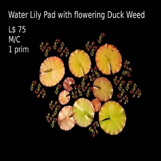 Second Life Marketplace - Water Lily Pad with blooming Duck Weed 1