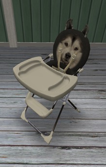 Second Life Marketplace - HUSKY DOG HIGH CHAIR FOR BABY & TODDLER AVATARS