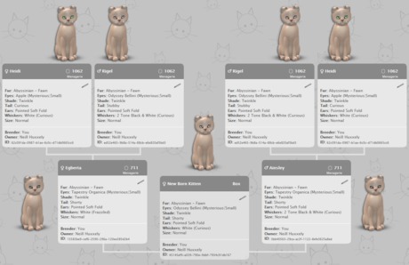 Second Life Marketplace - Abyssinian - Fawn