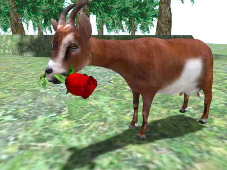 Second Life Marketplace - GOAT-WOMAN