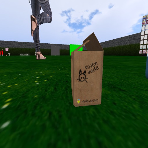Second Life Marketplace - KittyCatS Box - New Born Kitten