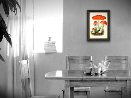 Second Life Marketplace - FLY AGARIC MUSHROOM Vintage Botanical ...