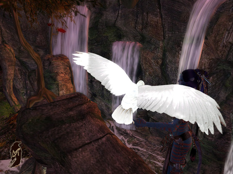 Second Life Marketplace - Mused Falconry - White Raven