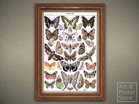 Second Life Marketplace - BUTTERFLIES #02 Vintage Natural History ...