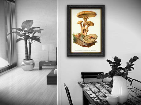 Second Life Marketplace - Shaggy Scalycap Mushroom Vintage Botanical ...