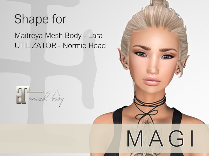 Second Life Marketplace - INC(RED)IBLE - Magi - shape for Normie Head ...
