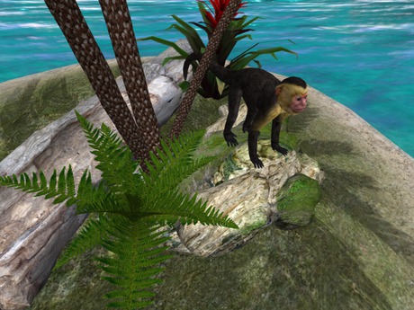 Second Life Marketplace - GD MESH OFF SIM TROPICAL MONKEYS