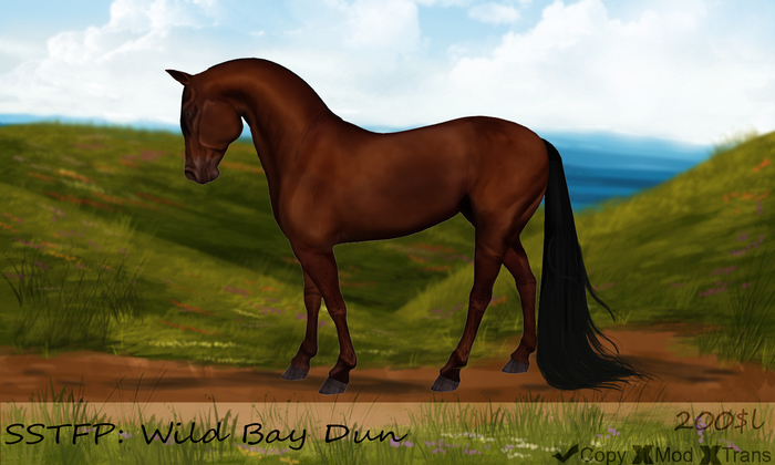 Bay Dun Horse