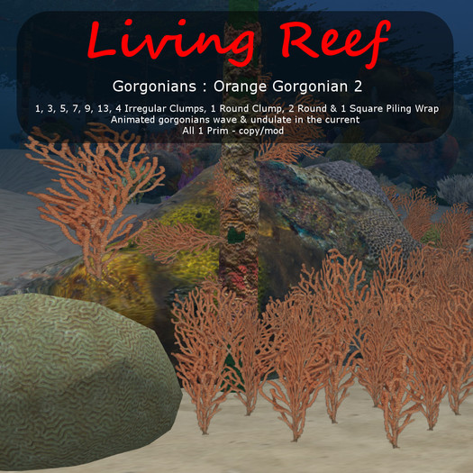 Second Life Marketplace - Inochi Reef : Gorgonians - Orange Gorgonian 2