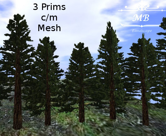 Second Life Marketplace - = MB = Pine trees line 8 c/m