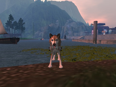 Second Life Marketplace - P&C TWI Wolf Mod Husky Hybrid