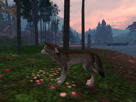 Second Life Marketplace - P&C TWI Wolf Mod Husky Hybrid