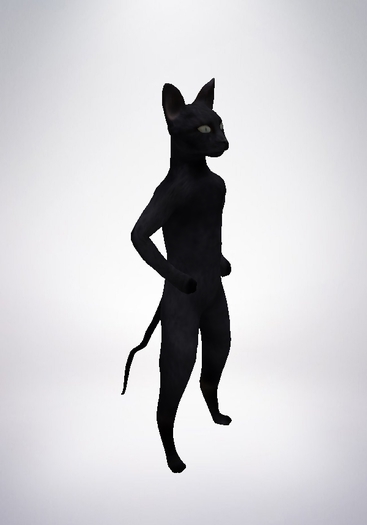 Second Life Marketplace - Mesh Biped Black cat