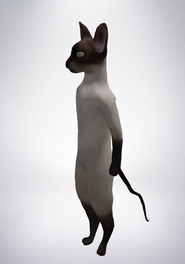 Second Life Marketplace - Mesh Biped Siamese cat