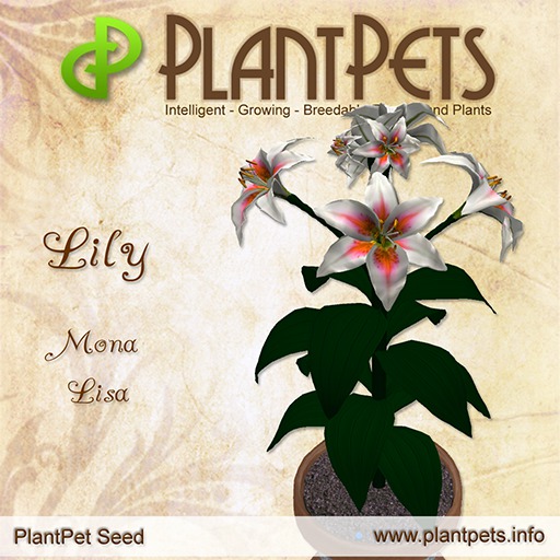 Second Life Marketplace - PlantPet Seed [Lily *Mona Lisa*] - RARE