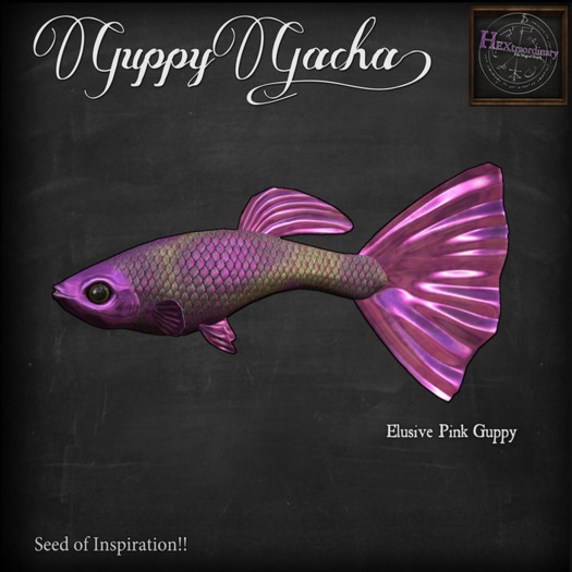 Second Life Marketplace - *HEXtraordinary* Guppy - Elusive Pink Seed of ...