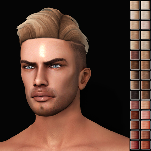 Second Life Marketplace - NoCruel Chip Male Mesh Hair Full Perm 200 ...