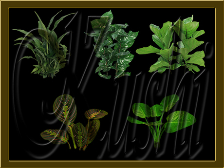 Second Life Marketplace - Plants Alpha Collection #01 Textures