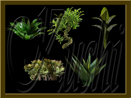 Second Life Marketplace - Plants Alpha 02 Textures